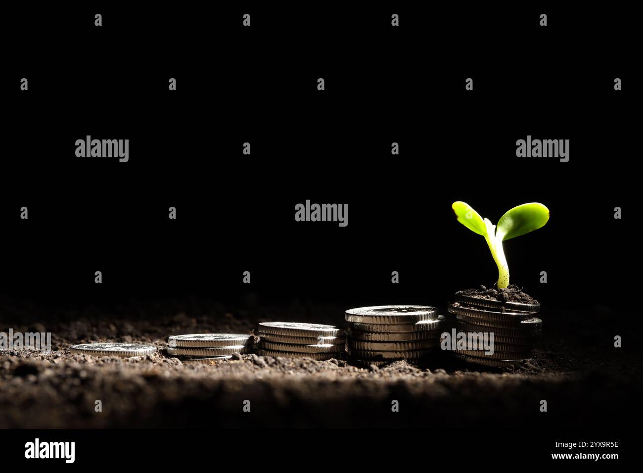 Money growth concept. Coins and sprout in soil against black background ...