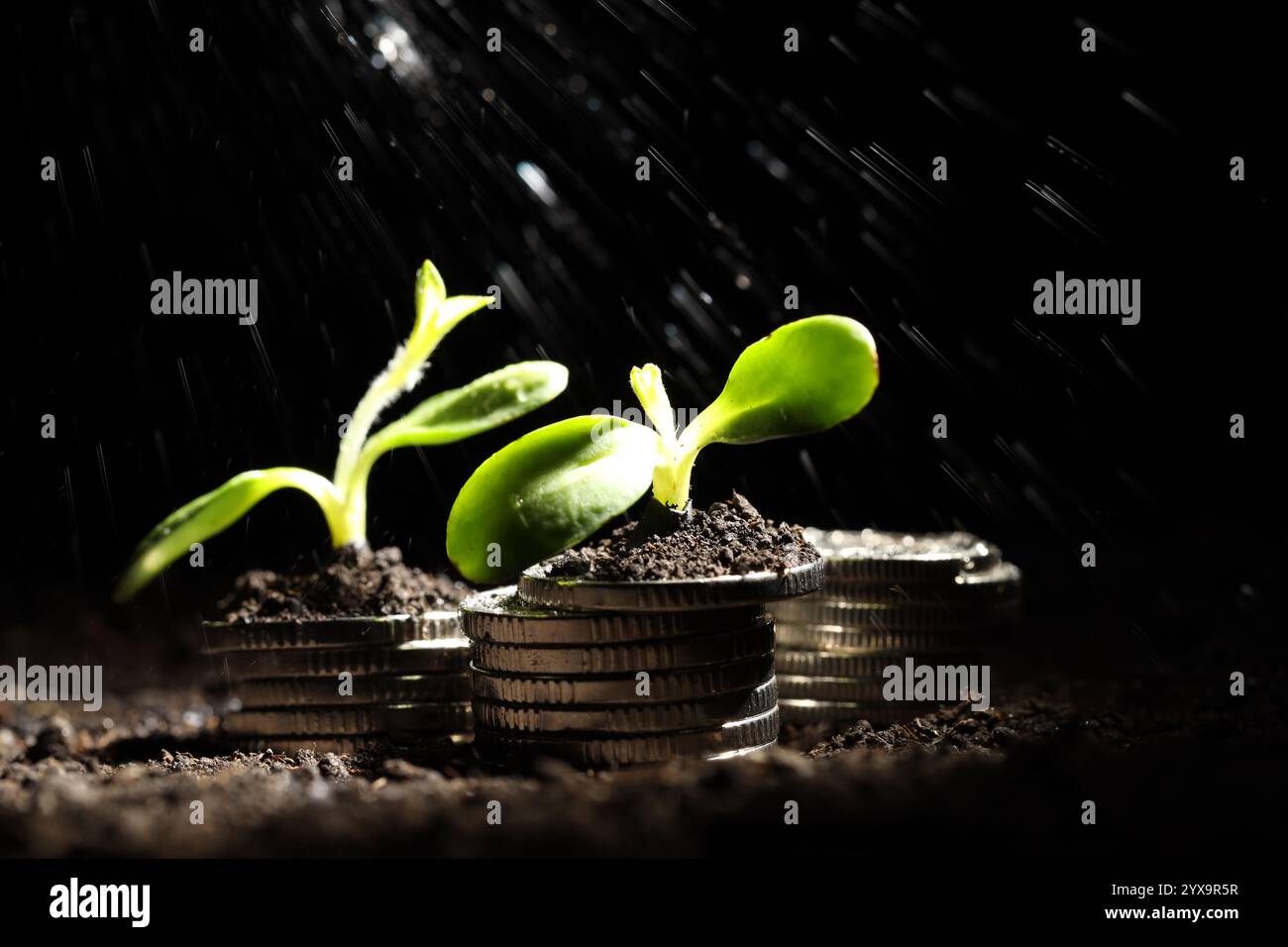 Money growth concept. Water dripping on coins and sprouts in soil ...