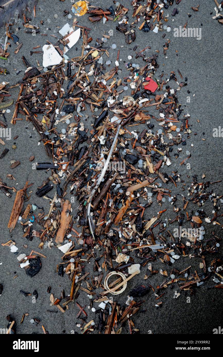 WA26274-00....WASHINGTON - Broken plastic and micro plastic in the ...