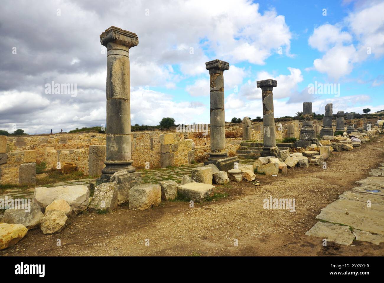 Stone pillars stand in a row along an ancient Roman road among the ...