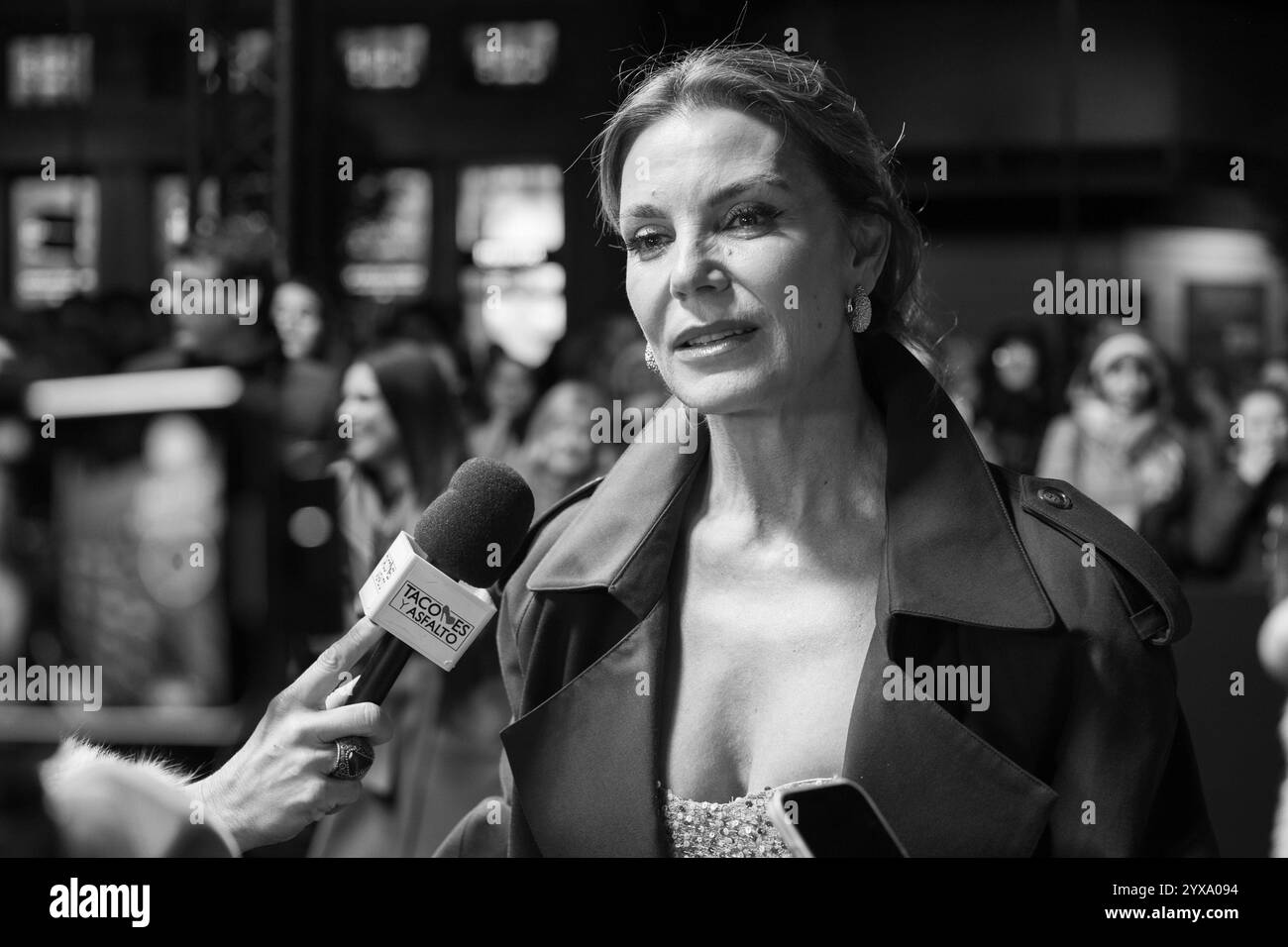 the 'Red Fun' photocall at the Callao cinema on November 13, 2024 in ...