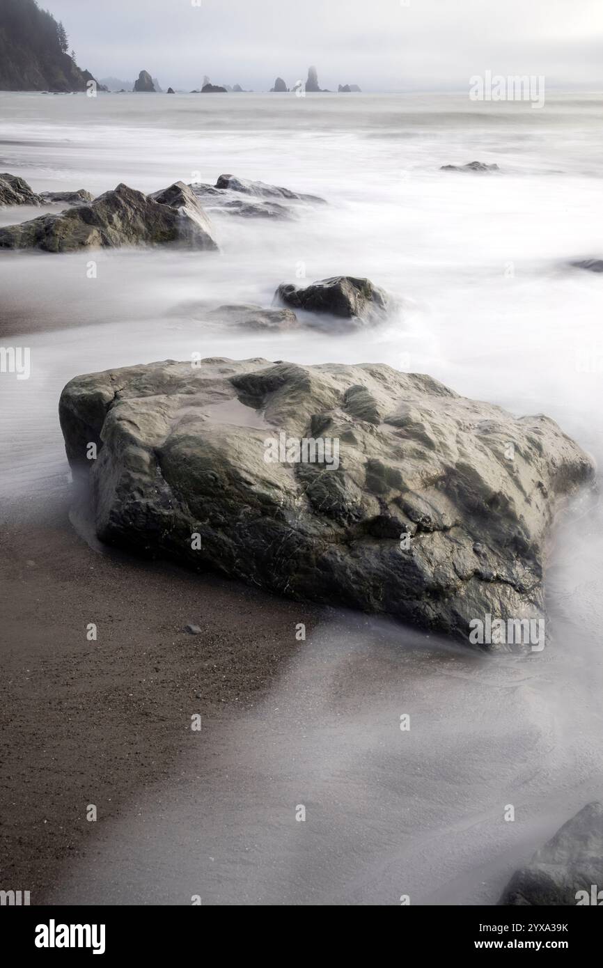 WA26286-00......WASHINGTON - Tide zone on Third Beach, Olympic National ...