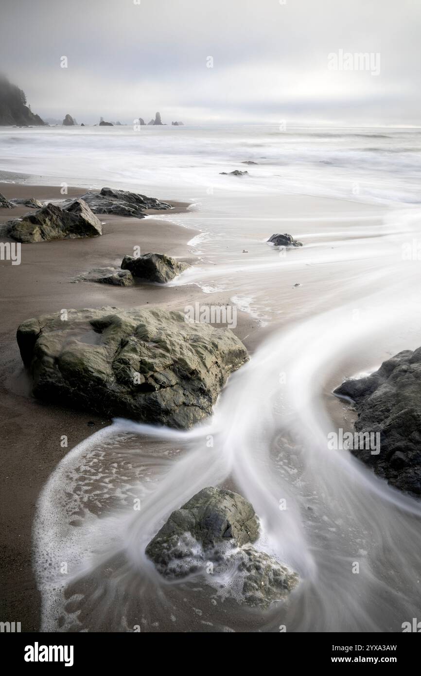 WA26288-00......WASHINGTON - Tide zone on Third Beach, Olympic National ...