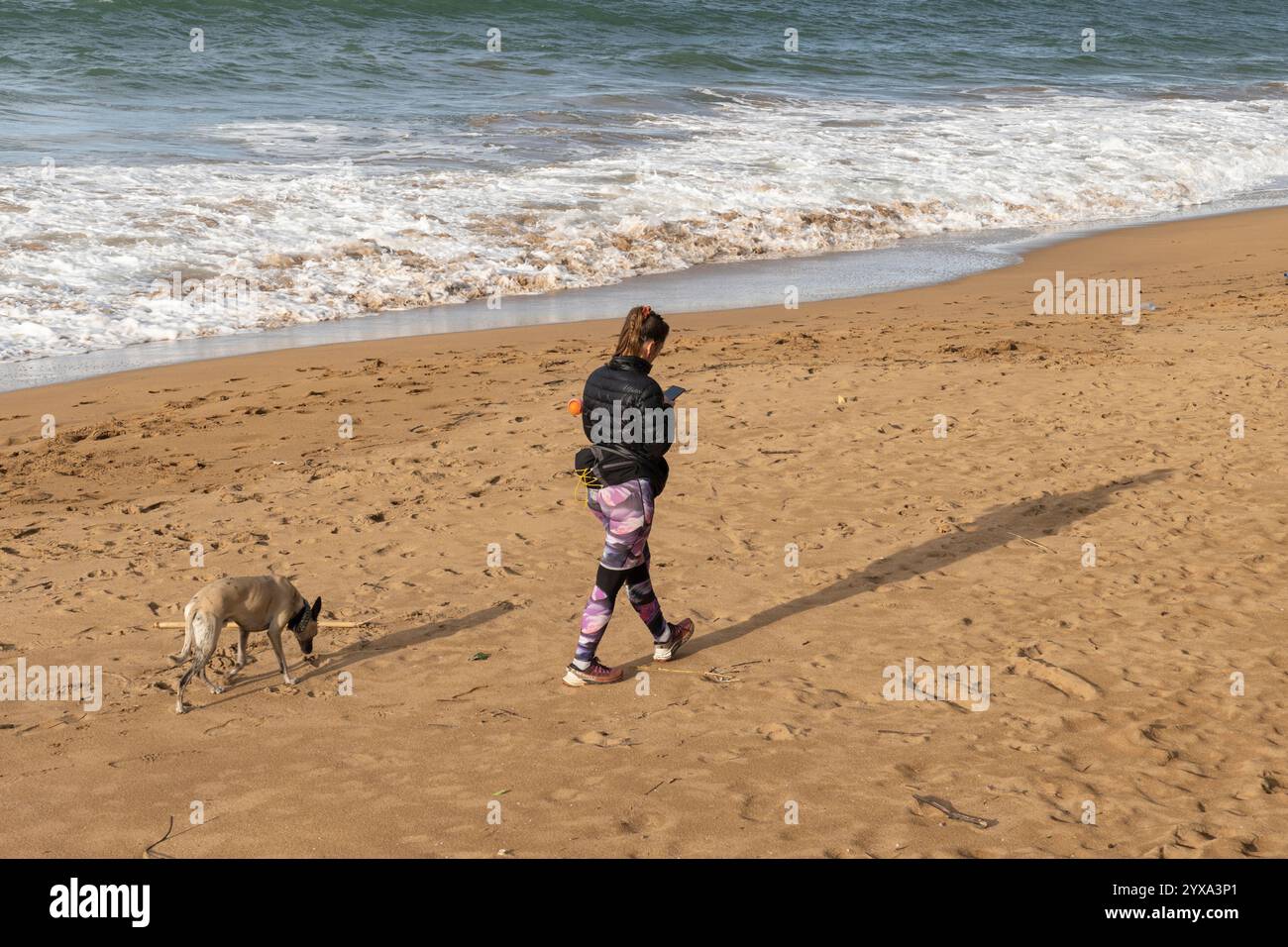A woman walks a dog while texting on her cell phone on the Playa de ...
