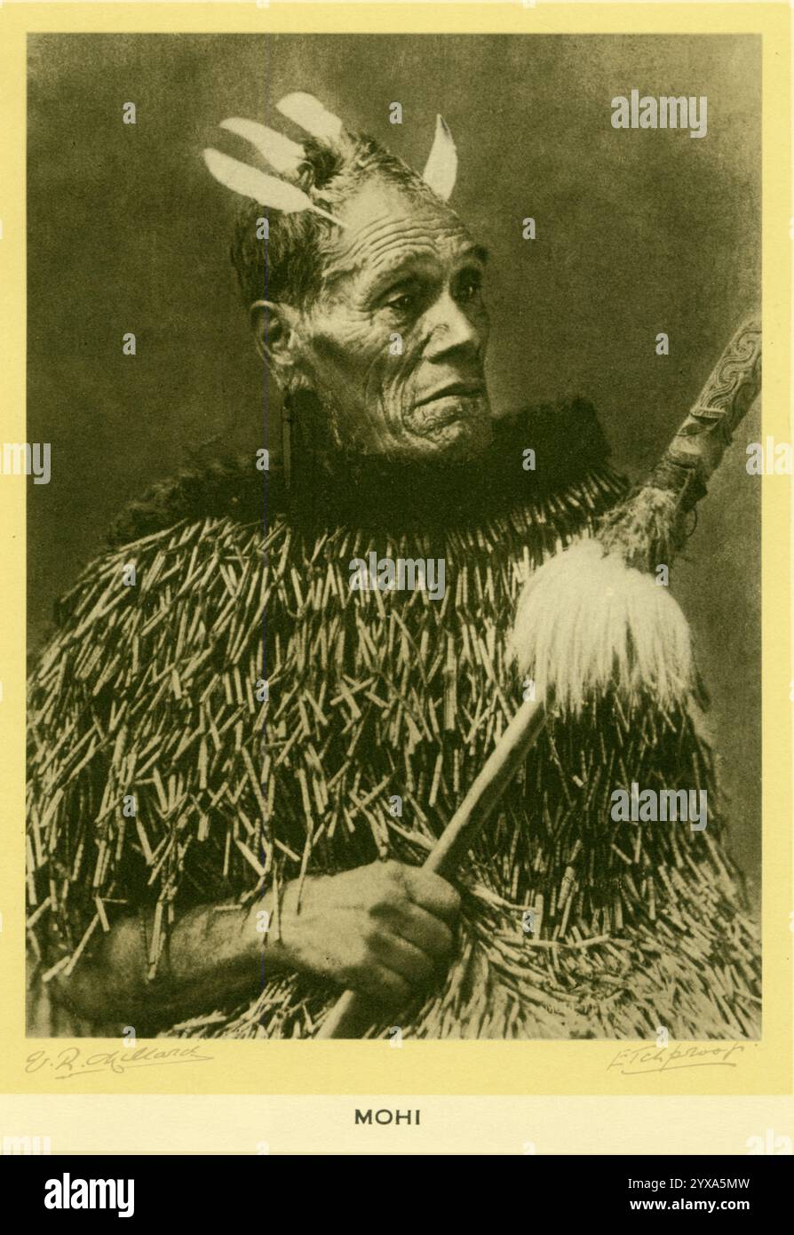 Portrait of the elderly Maori chief, Mohi Tūrei, from a 1942 ...