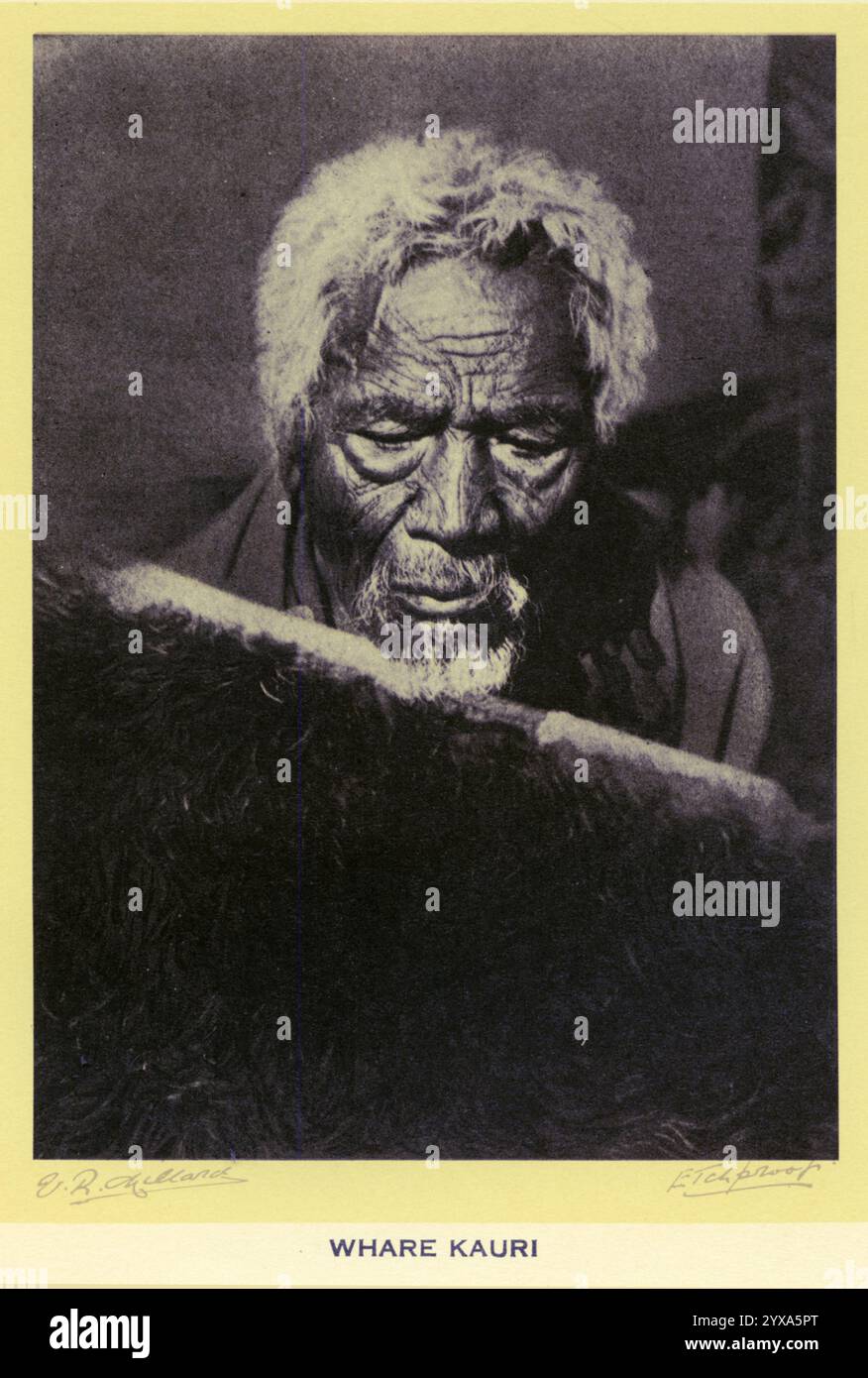 Portrait of the seven foot tall Maori, Wharekauri Tahuna, a chief and ...