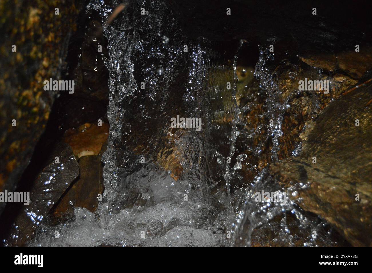 The close up of a tiny spring with pure sweet water in the Drakensberg ...