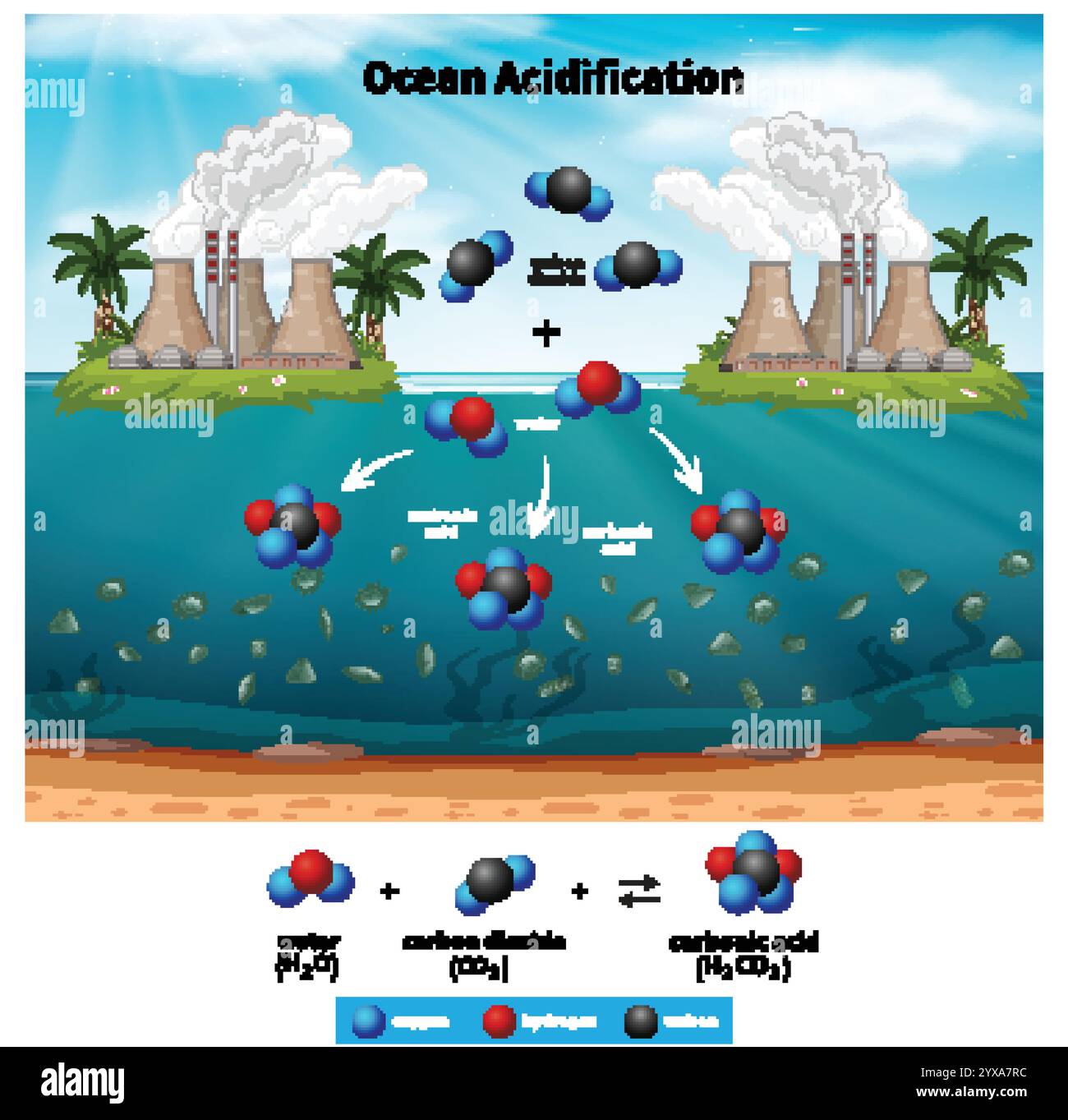 Illustration of ocean acidification process and chemical reactions ...