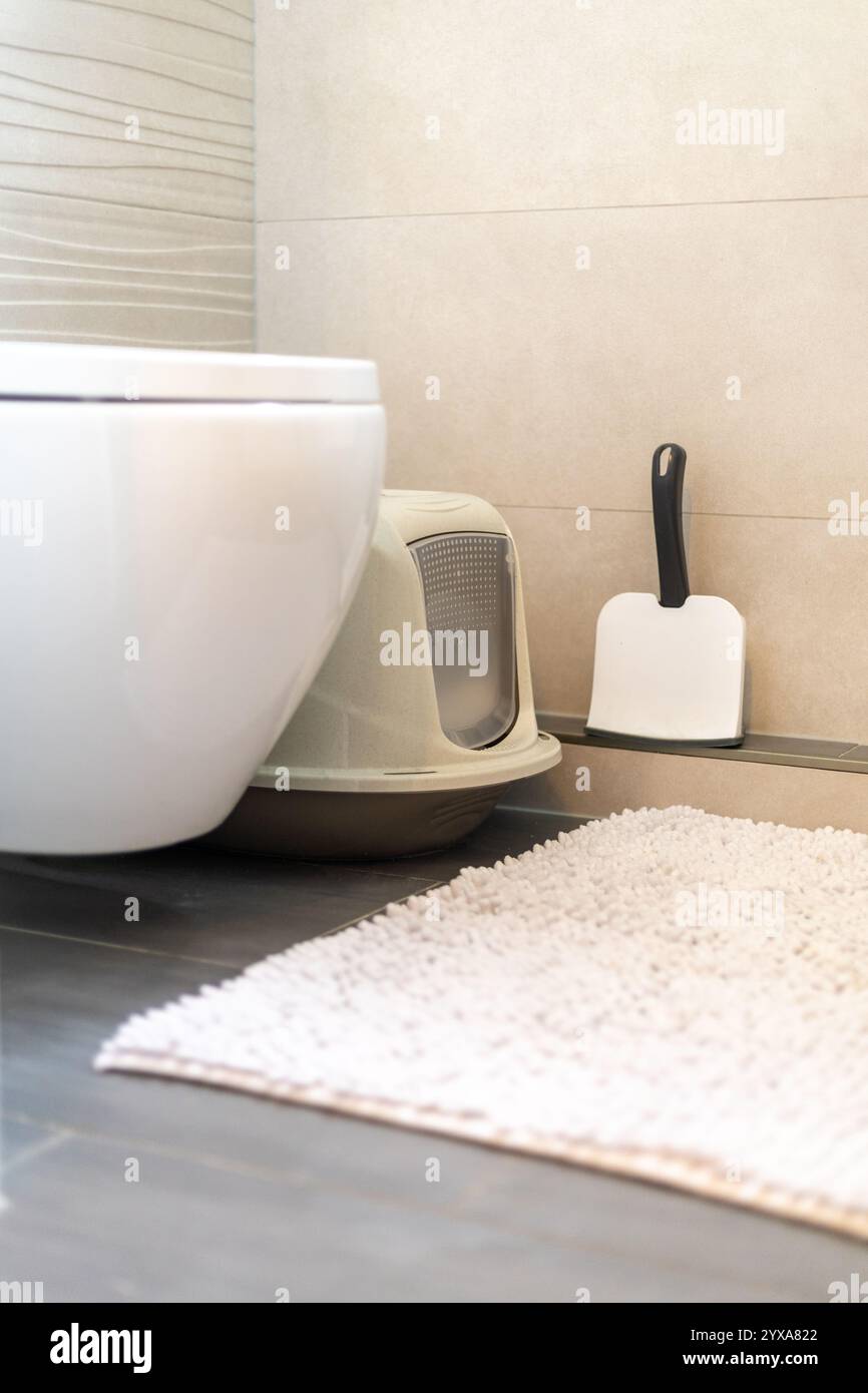 Cat litter box near toilet in bathroom Stock Photo - Alamy