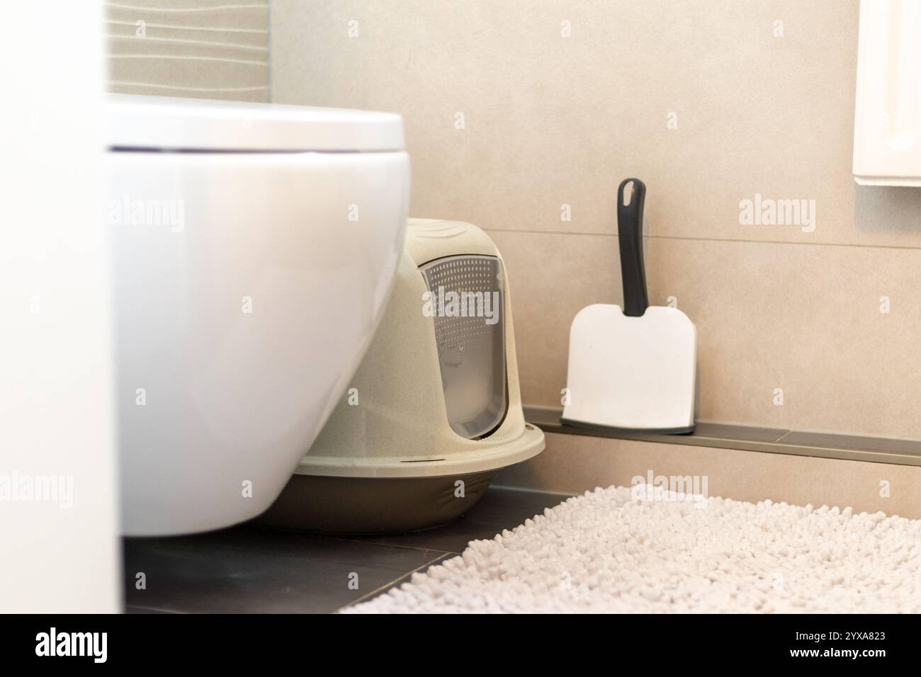 Bathroom hygiene setup hi-res stock photography and images - Alamy