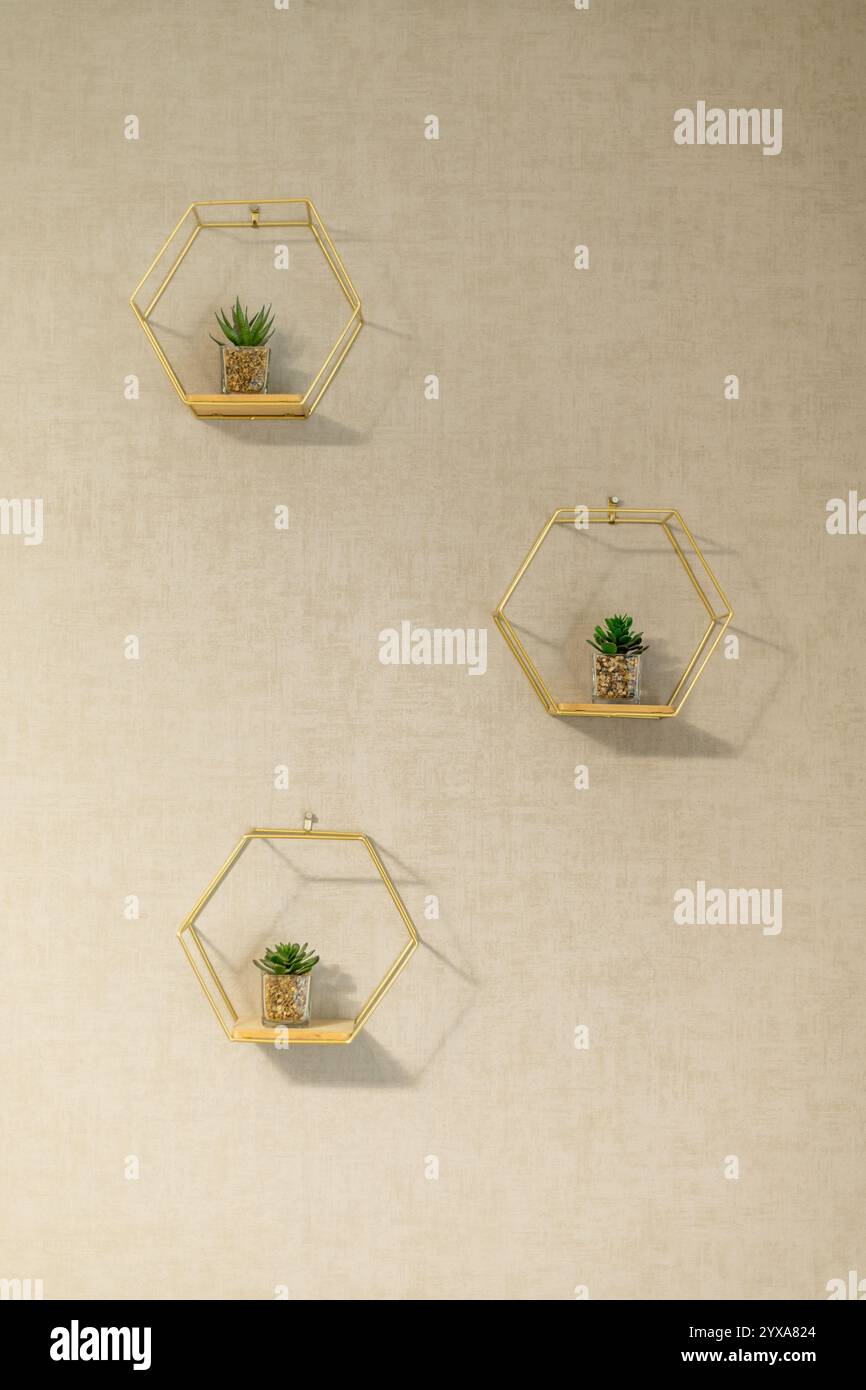 Three hexagonal wall planters hold small succulents, adding a touch of ...
