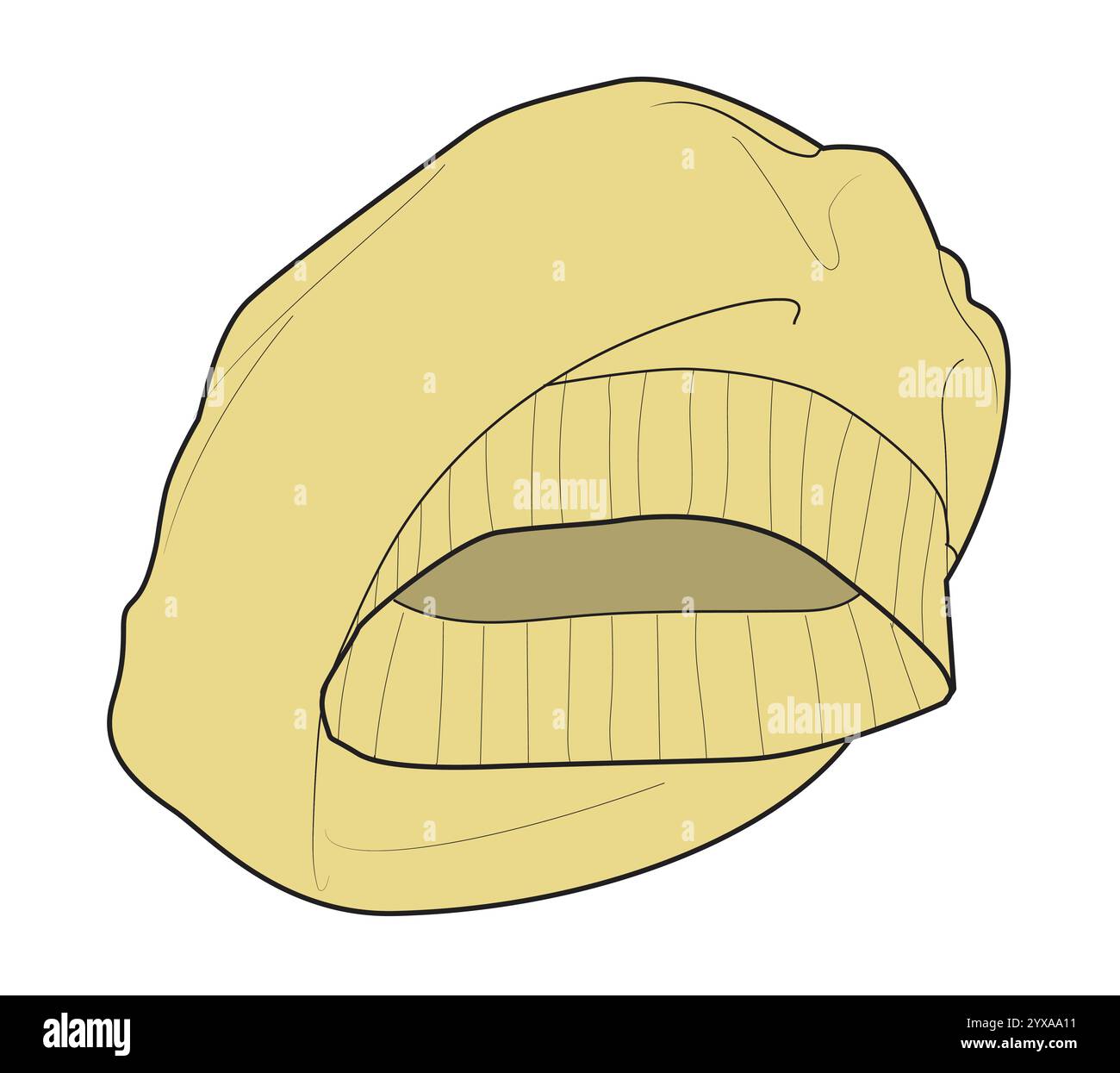 Tam hats technical drawing vector template Stock Vector Image & Art - Alamy