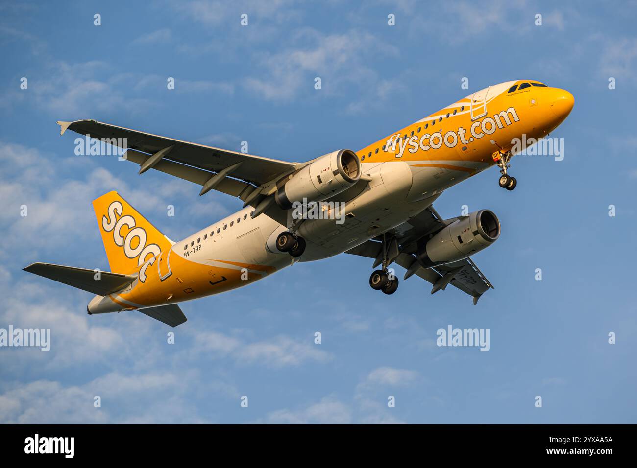 Scoot, Airbus A320-200, 9V-TRP on Final Approach to Singapore Changi ...