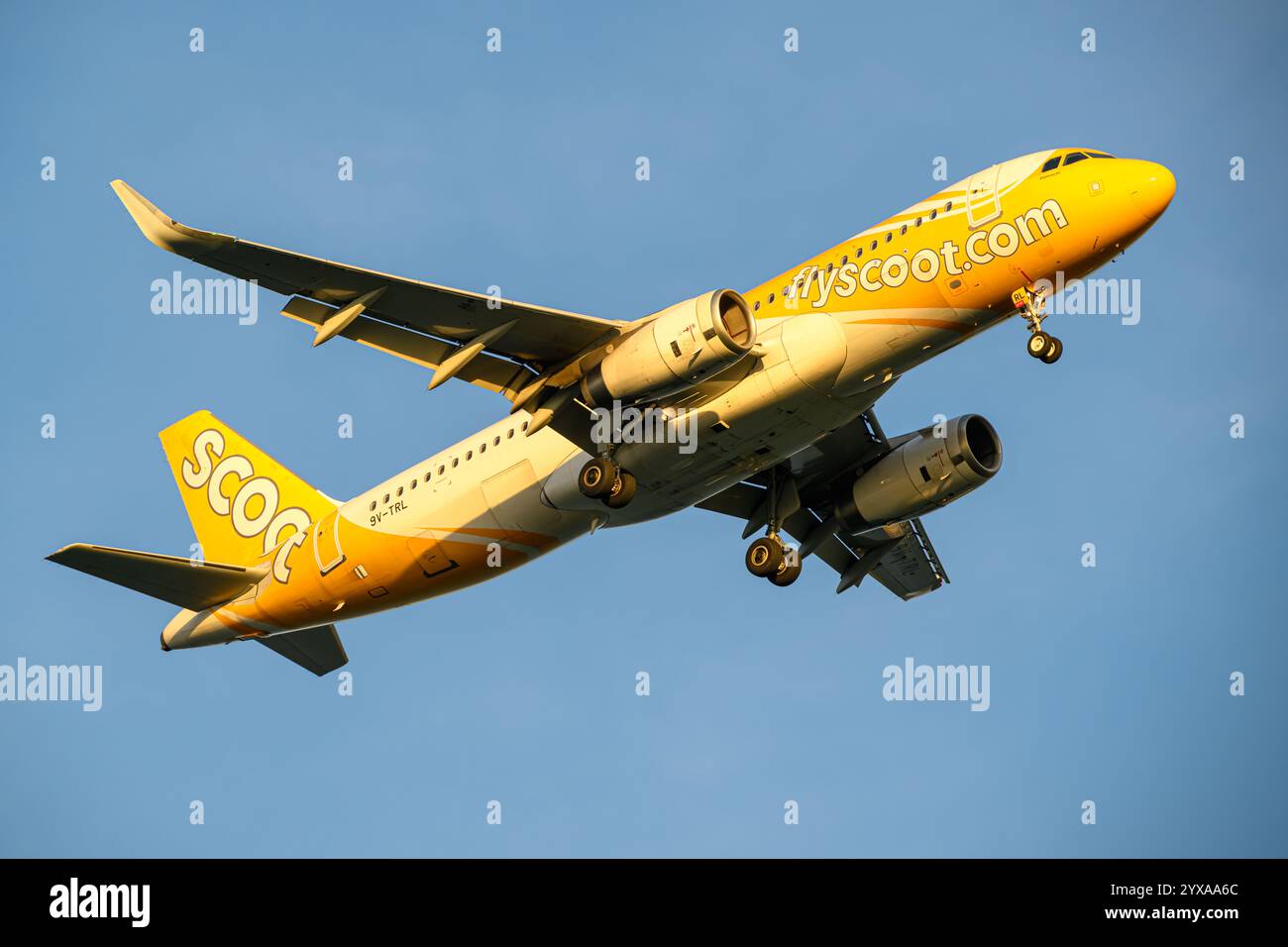 Scoot, Airbus A320-200, 9V-TRL on Final Approach to Singapore Changi ...