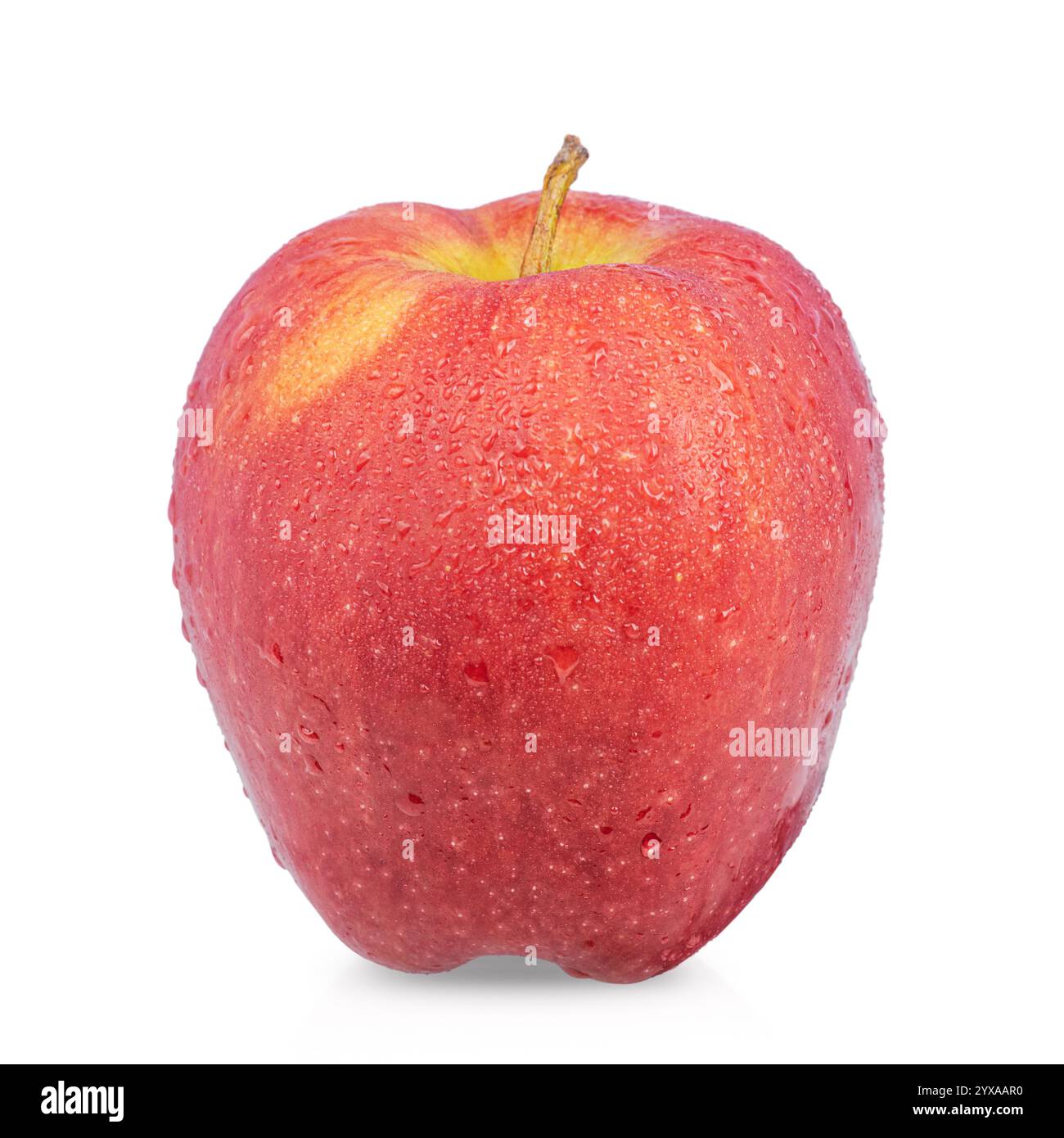 Red apple with water drops isolate on white background Stock Photo - Alamy