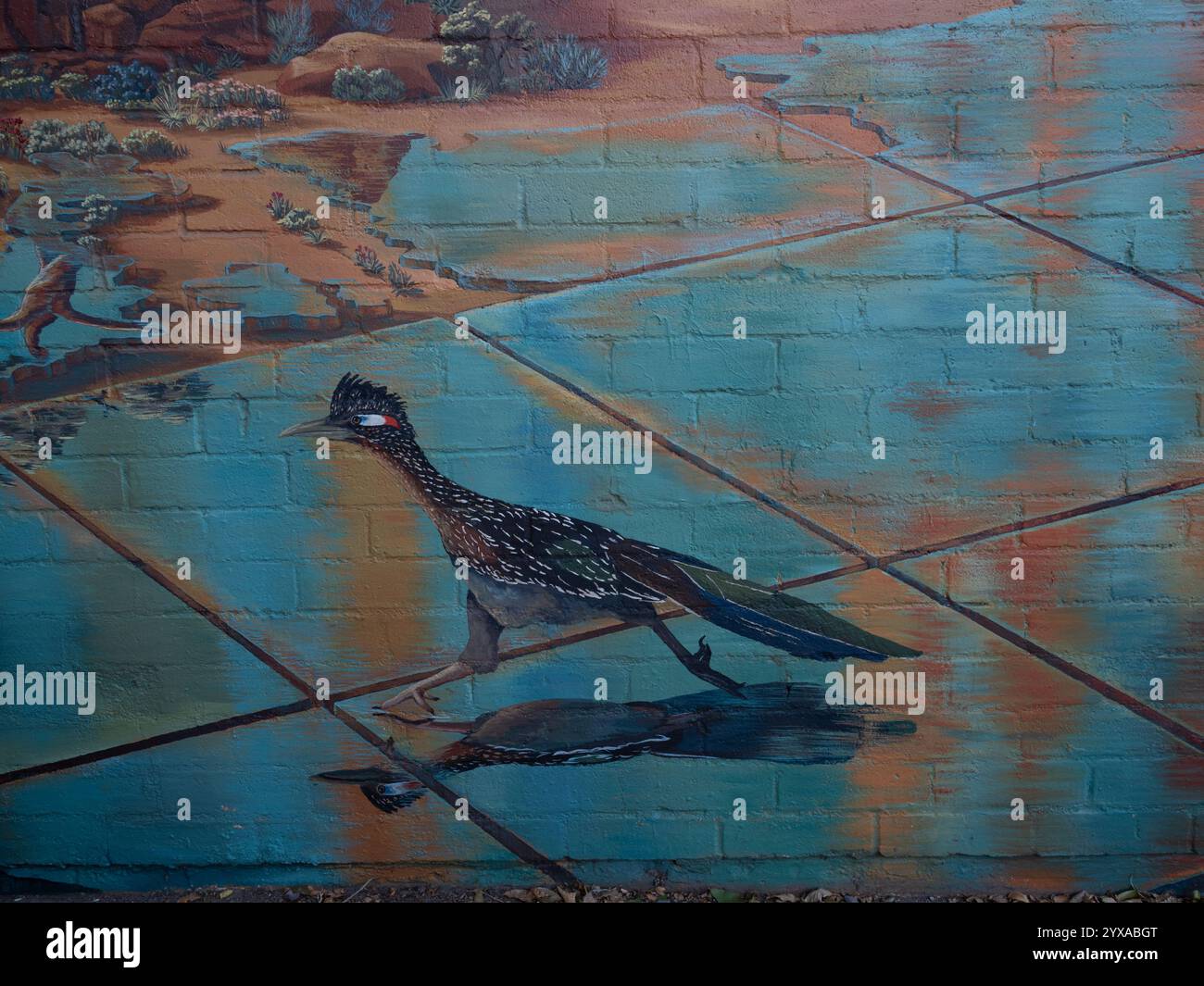 Close up of a roadrunner hi-res stock photography and images - Alamy