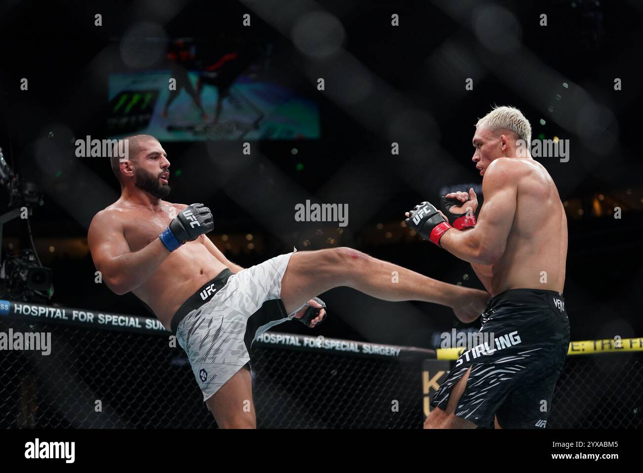 Tampa, Florida, Tampa, Florida, USA. 14th Dec, 2024. TAMPA, FL ...