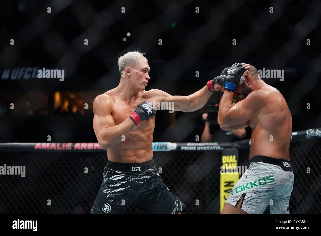 Tampa, Florida, Tampa, Florida, USA. 14th Dec, 2024. TAMPA, FL ...