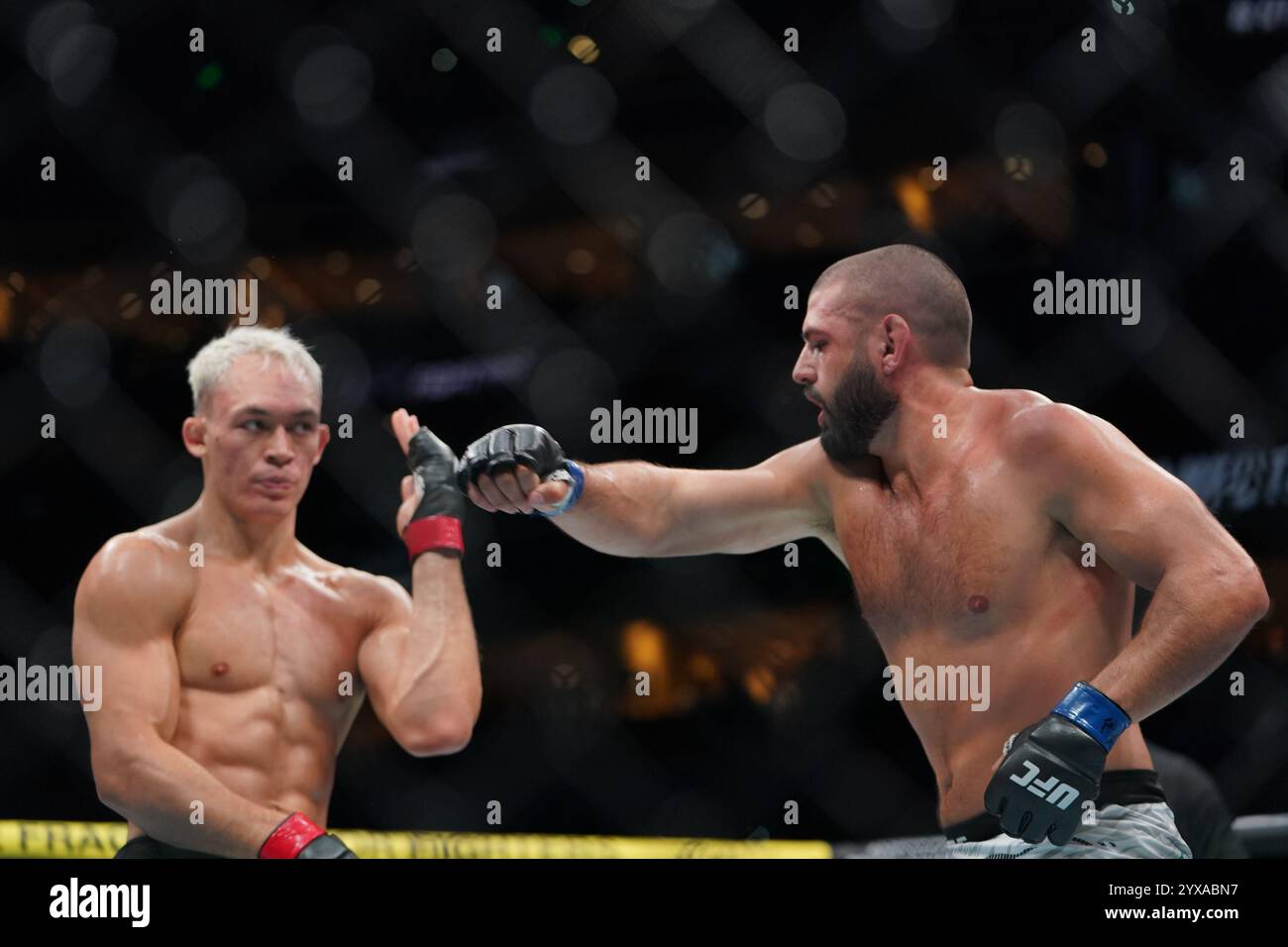 Tampa, Florida, Tampa, Florida, USA. 14th Dec, 2024. TAMPA, FL ...