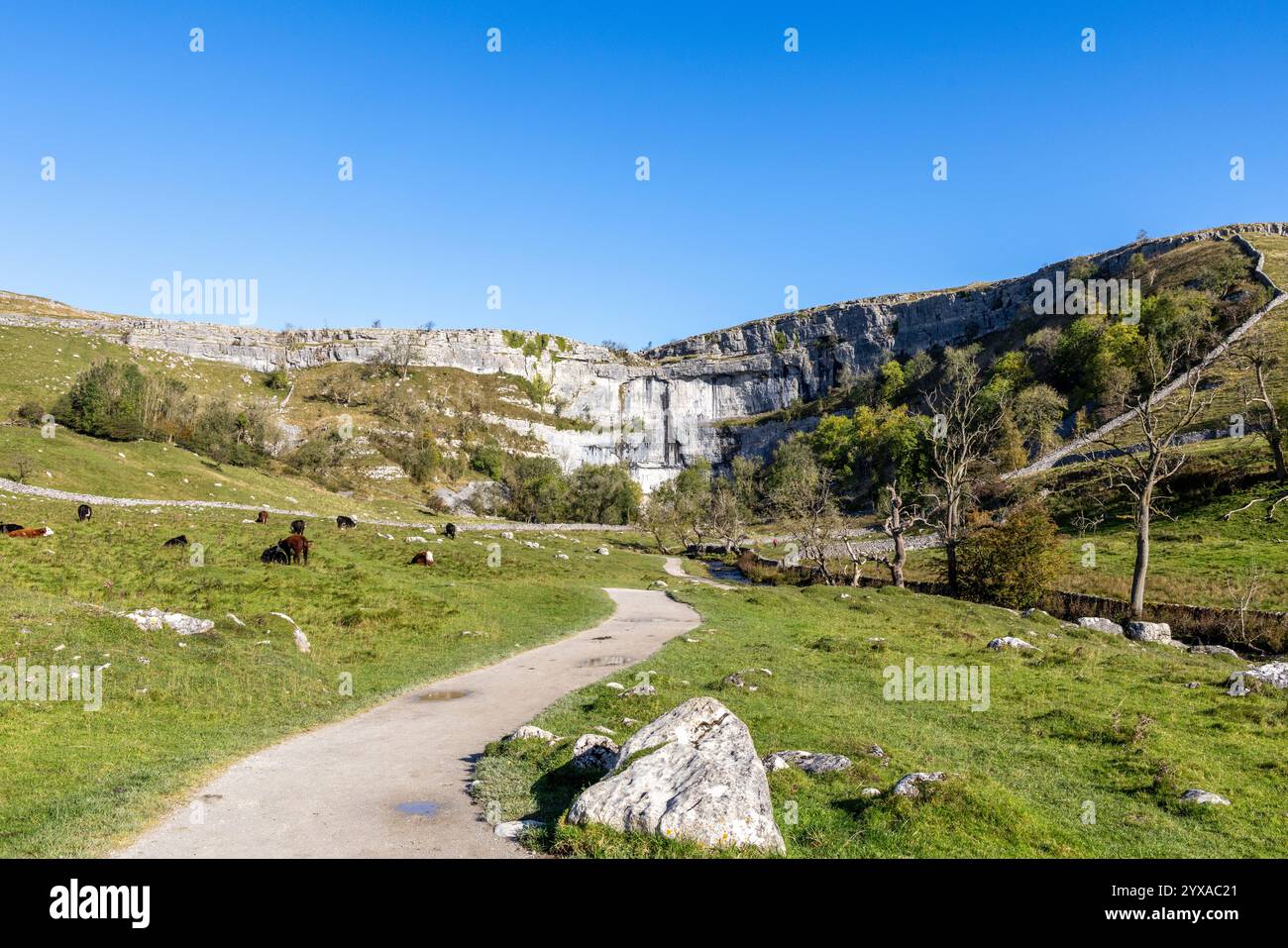 Malham Cove limestone rock formation in the Yorkshire Dales national ...