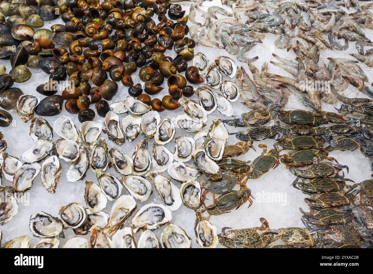 The seafood street market offers a wide range of fresh seafood ...
