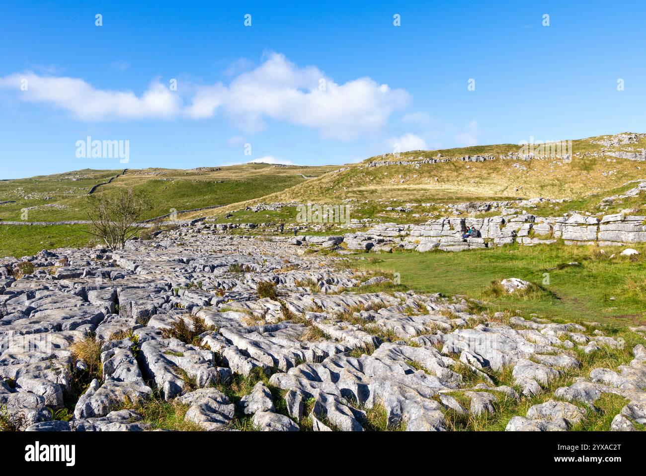Malham Cove limestone pavement in the Yorkshire Dales national park ...