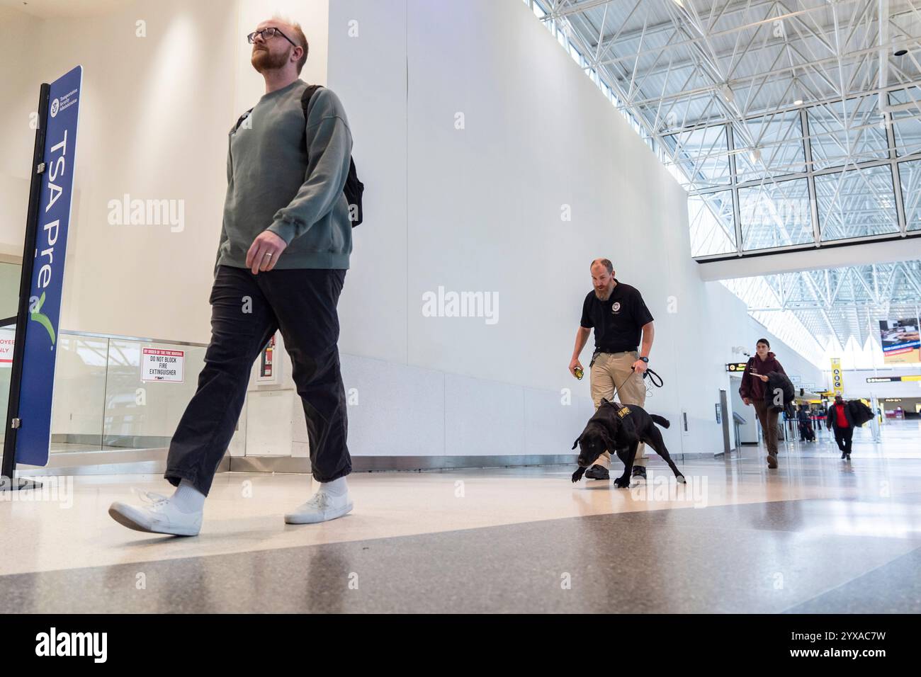 Argo, a Transportation Security Administration explosives detection ...
