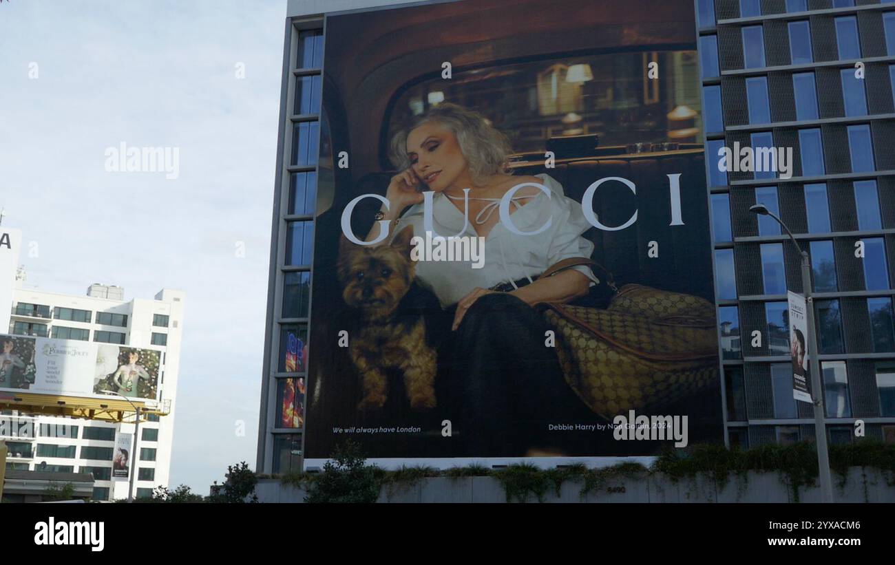 Los Angeles, California, USA 14th December 2024 Singer Debbie Harry ...
