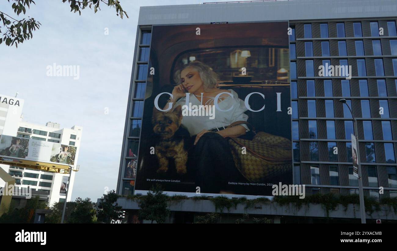 Los Angeles, California, USA 14th December 2024 Singer Debbie Harry ...