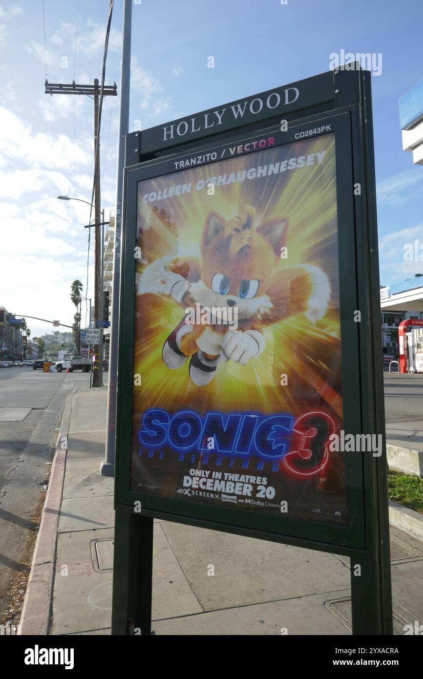 Los Angeles, California, USA 14th December 2024 Sonic The Hedgehog 3 ...