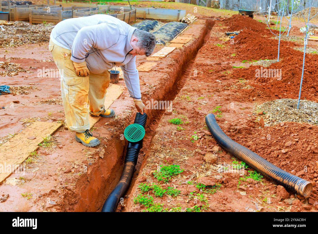 Gardener is carefully placing drainage pipe into trench to manage water ...