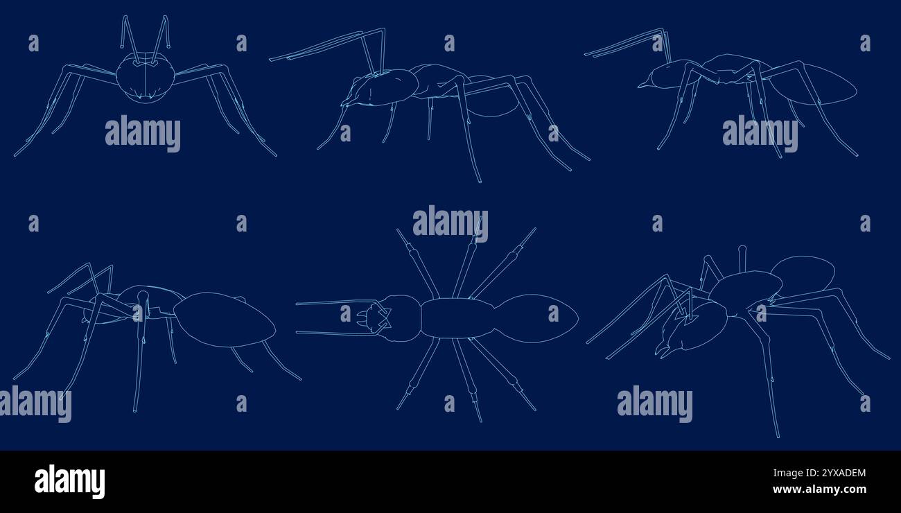 6 Set Ant Vector Line Art Illustrations Stock Vector Image & Art - Alamy