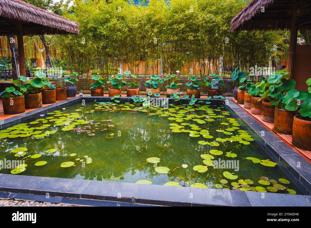 minimalistic koi fish pond, rectangular shaped pond suitable for the ...