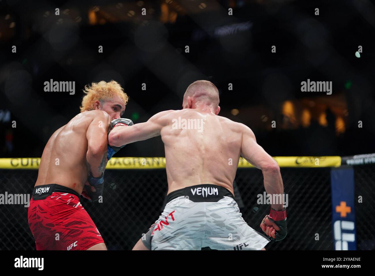 Tampa, Florida, United States. 14th Dec, 2024. TAMPA, FL -DECEMBER 14 ...