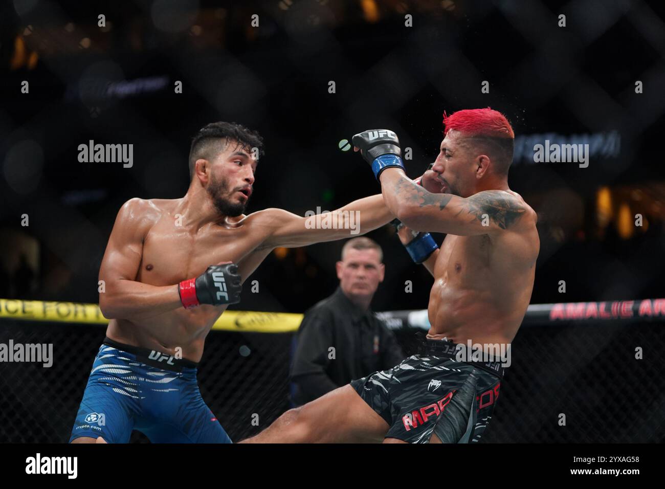 Tampa, Florida, United States. 14th Dec, 2024. TAMPA, FL -DECEMBER 14 ...