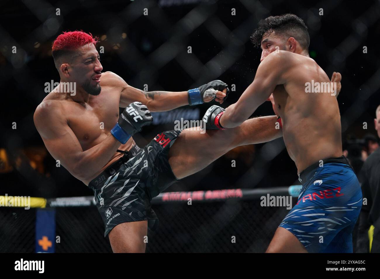 Tampa, Florida, United States. 14th Dec, 2024. TAMPA, FL -DECEMBER 14 ...