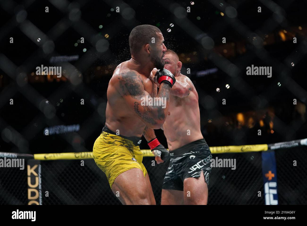 Tampa, Florida, United States. 14th Dec, 2024. TAMPA, FL -DECEMBER 14 ...