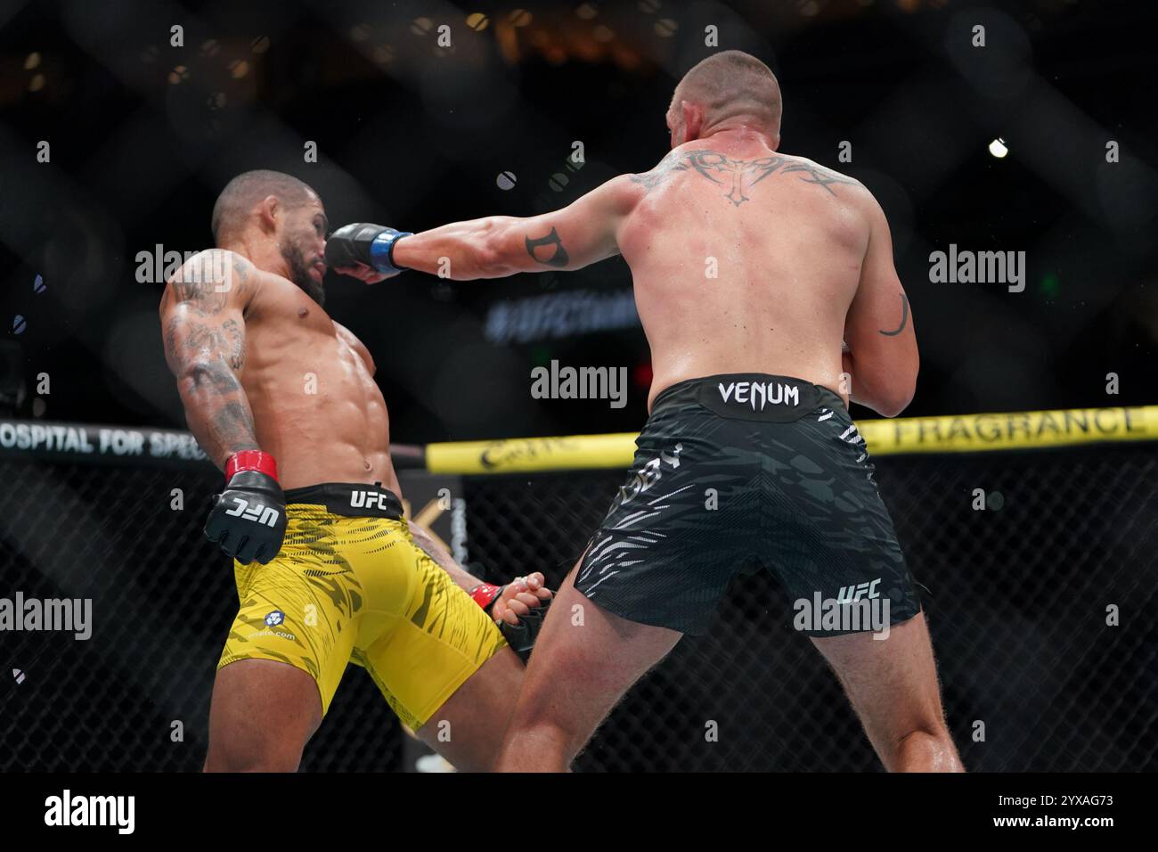 Tampa, Florida, United States. 14th Dec, 2024. TAMPA, FL -DECEMBER 14 ...