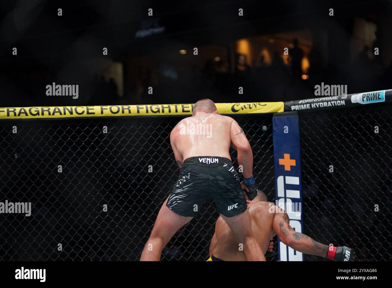 Tampa, Florida, United States. 14th Dec, 2024. TAMPA, FL -DECEMBER 14 ...