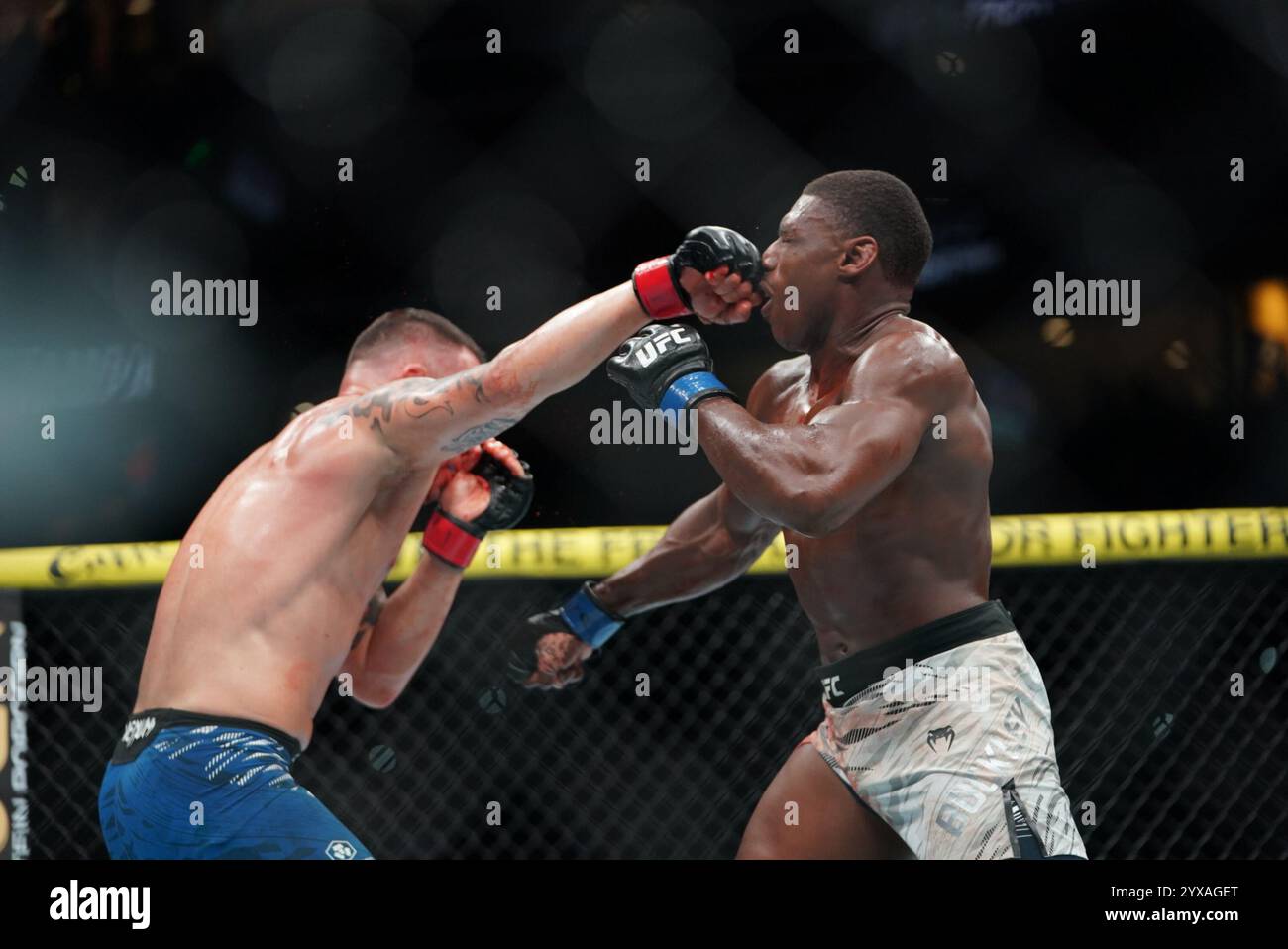 Tampa, Florida, United States. 15th Dec, 2024. TAMPA, FL -DECEMBER 15 ...