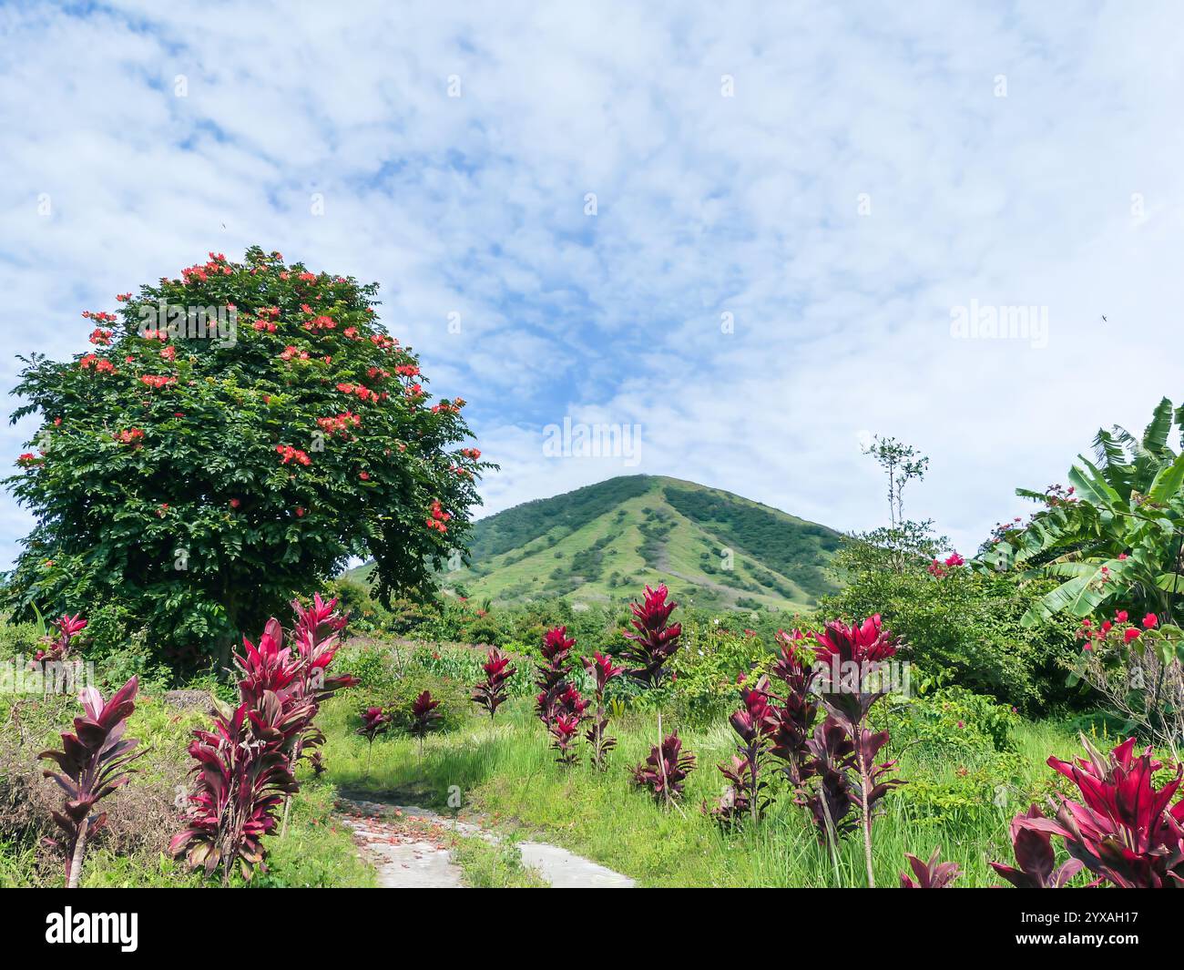 Lokon Volcano in Sulawesi, Indonesia. Wonderful Indonesia Travel 2025 ...
