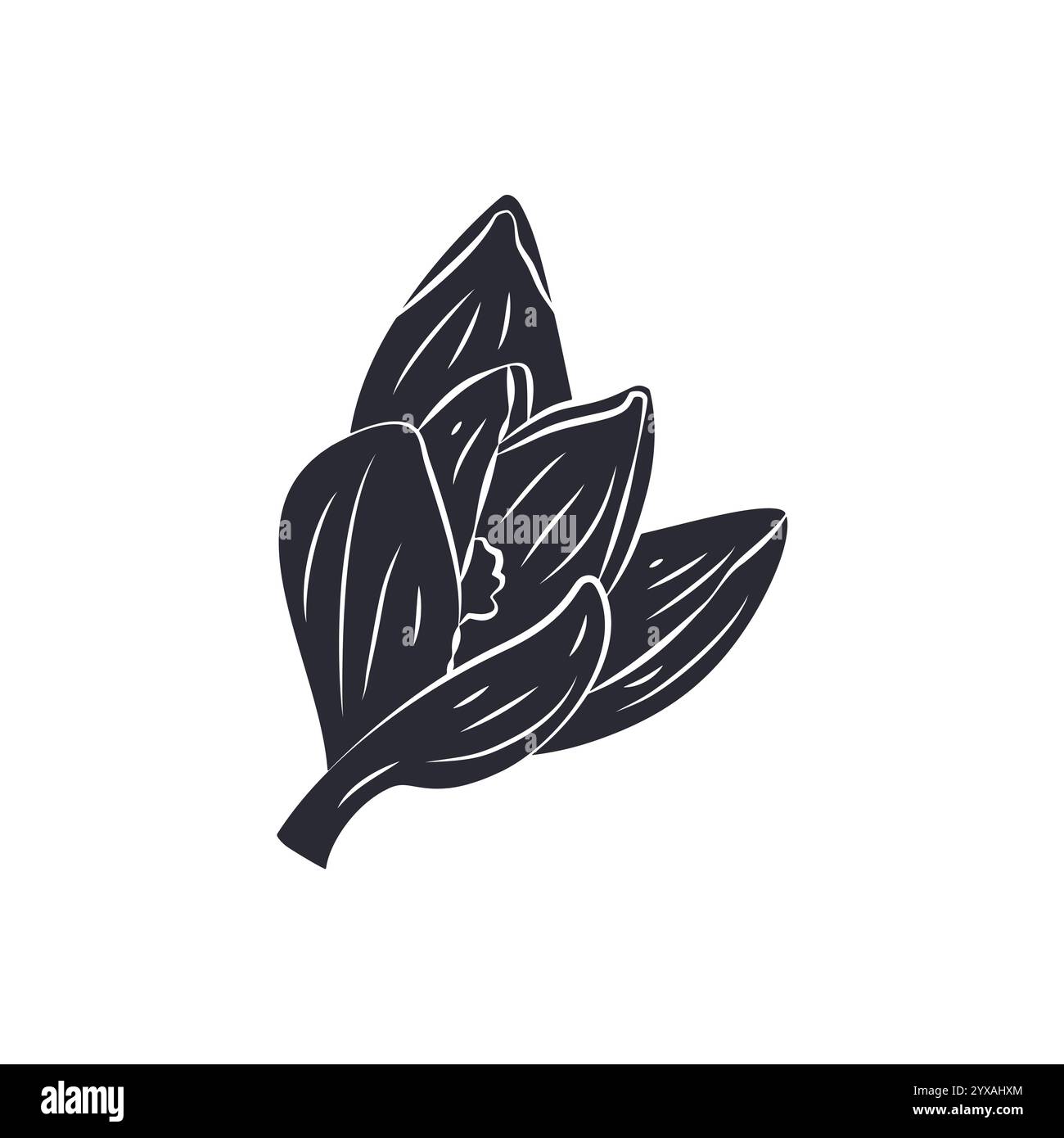 Black silhouette of crocus flower isolated on white background Stock ...