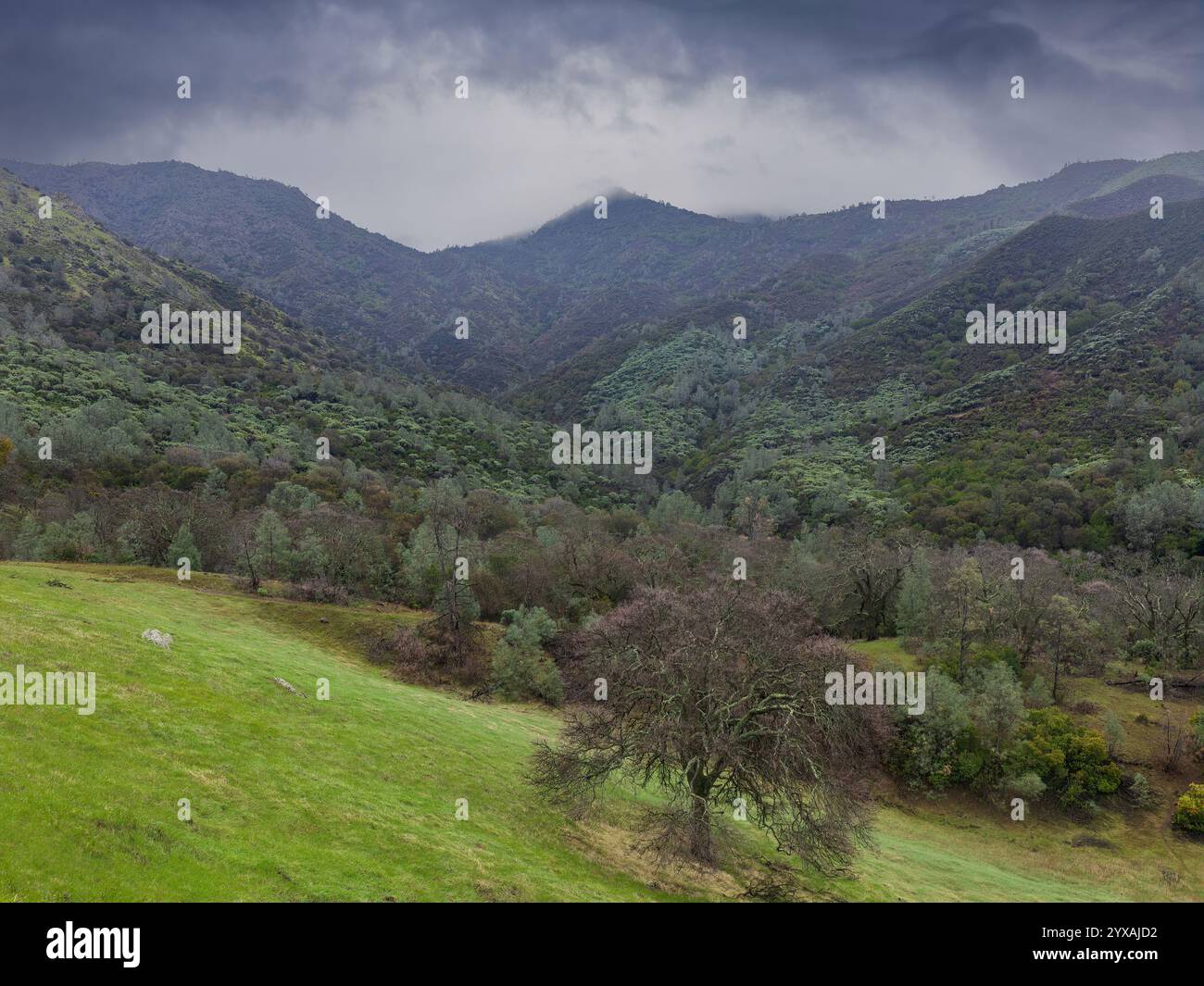 Donner Canyon and Mount Olympia before a Storm. Mt Diablo State Park ...