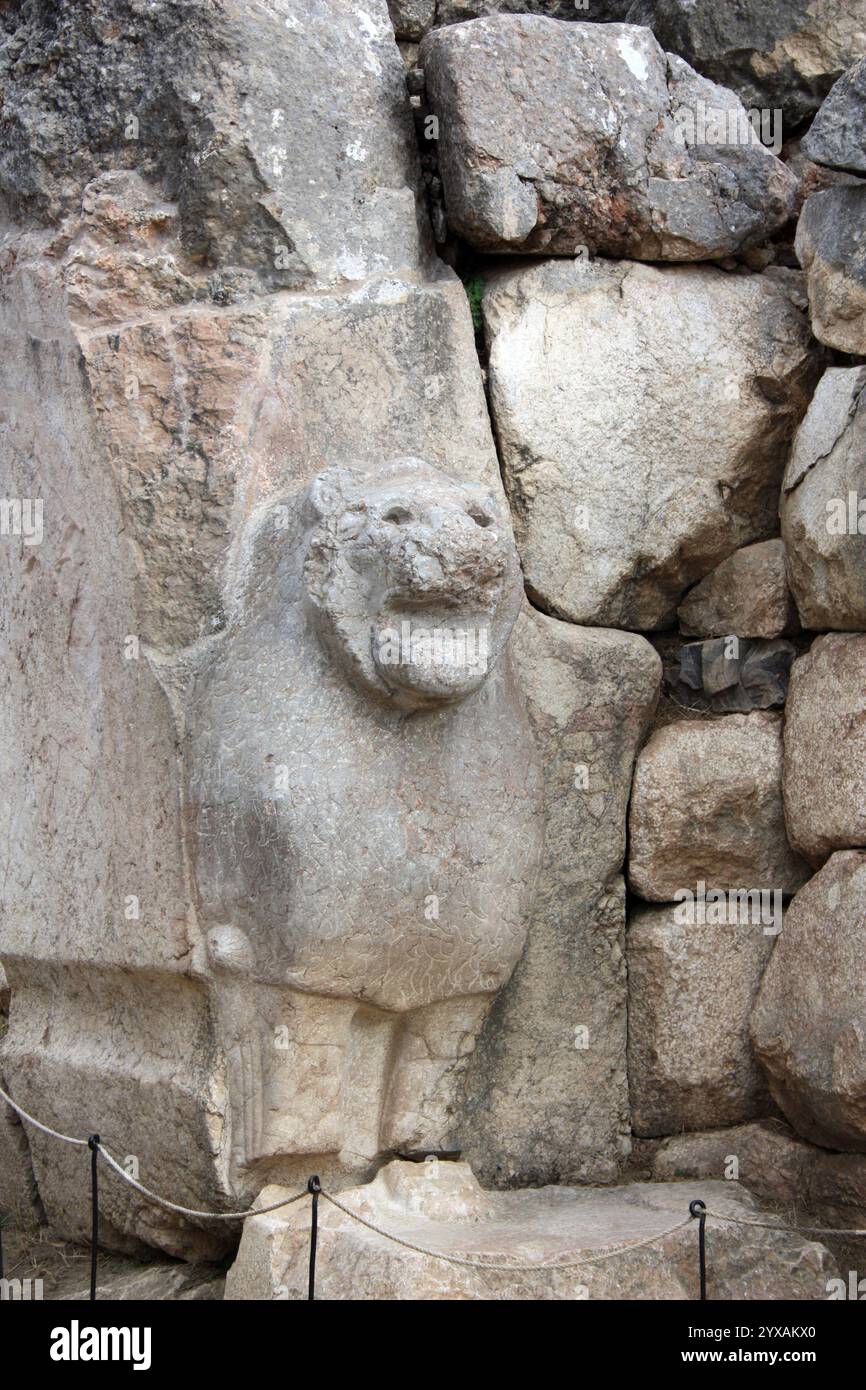 Lion from the Lion Gate in the southwest of Hattusa - the capital of ...