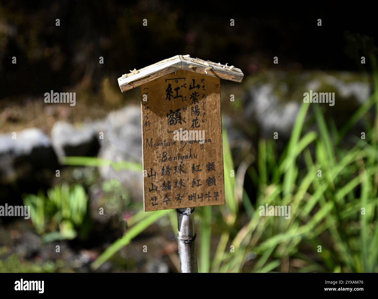 Wooden sign on the grounds of Arashiyama Bamboo Grove in Kyoto, Japan ...