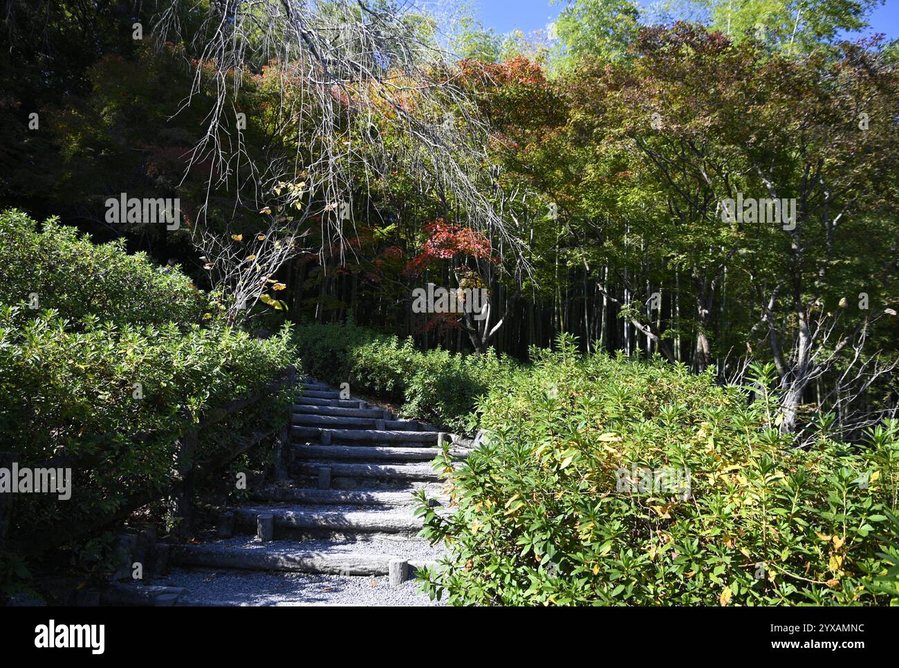 Walking path connecting the Chokushimon and the Chūmon gates in the Zen ...