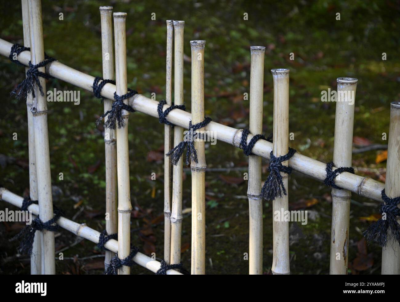 Traditional Japanese Yotsume style bamboo fence with Ibo knots in ...