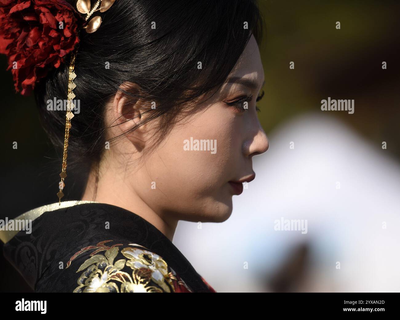 Portrait of a young Geisha wearing the traditional kimono on the ...