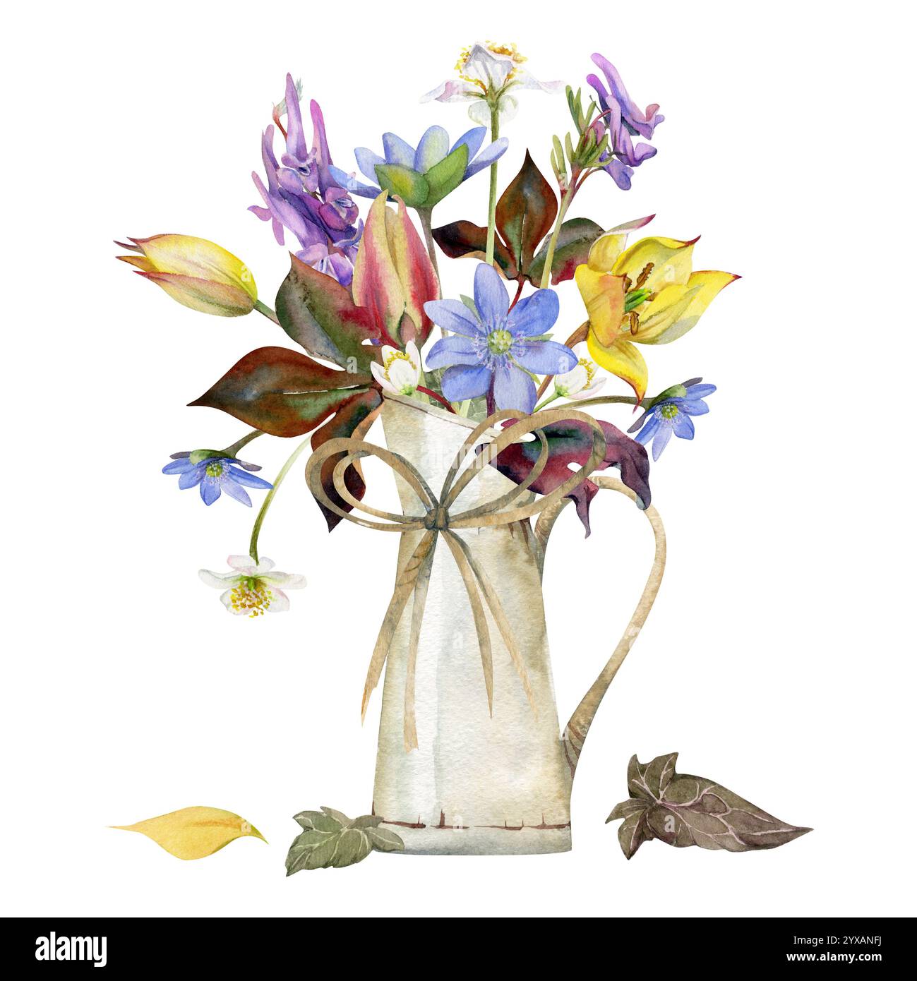 Spring flowers, blue hepatica forget-me-not, white forest anemone ...