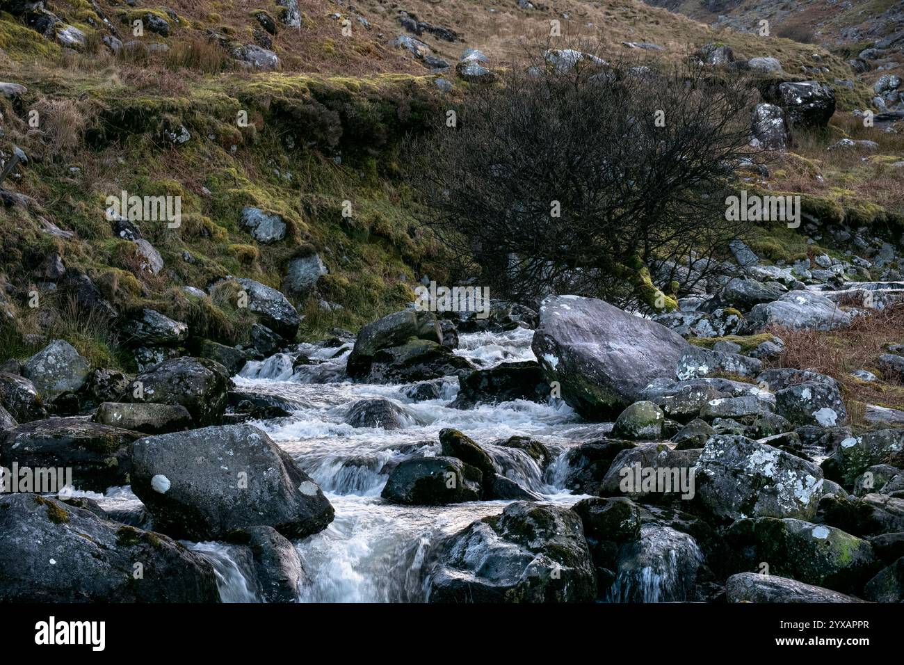 Rapid clear stream water rushes hi-res stock photography and images - Alamy